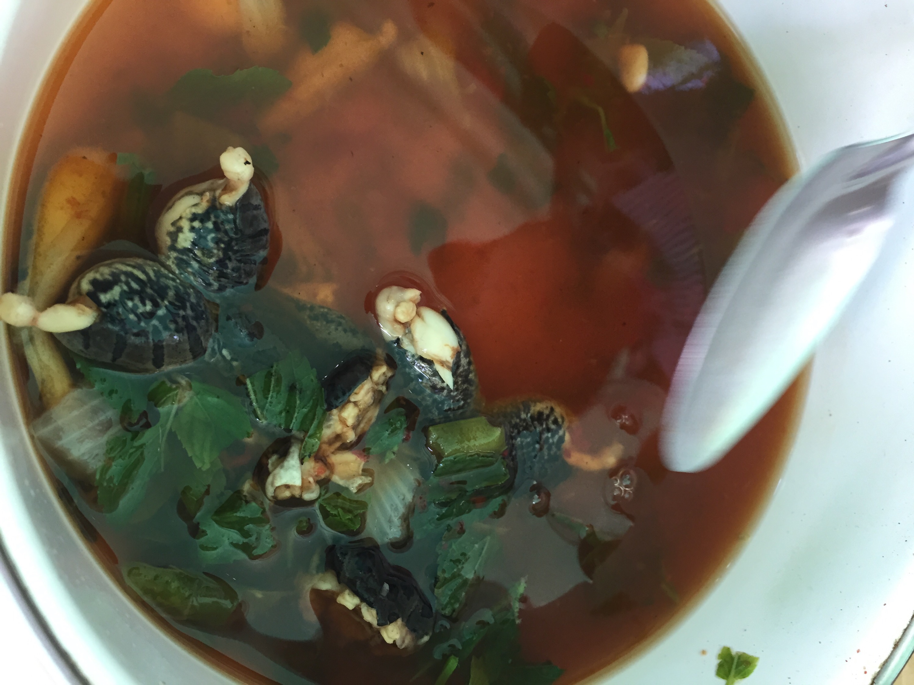 VIII Concurso de Cocina Tradicional Otomí